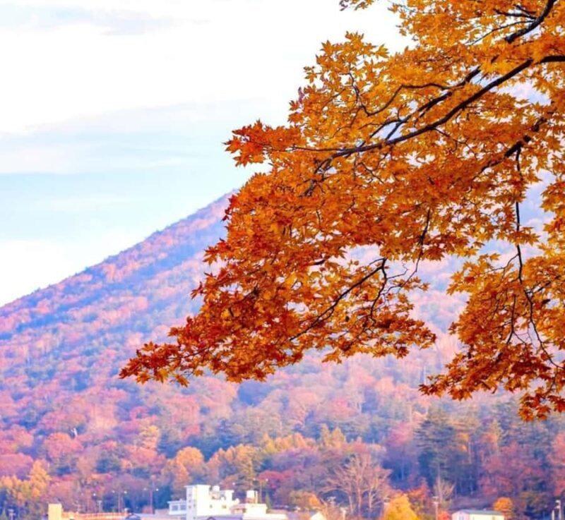 From Tokyo: Nikko Private Full-Day Heritage & Nature Tour - FAQ