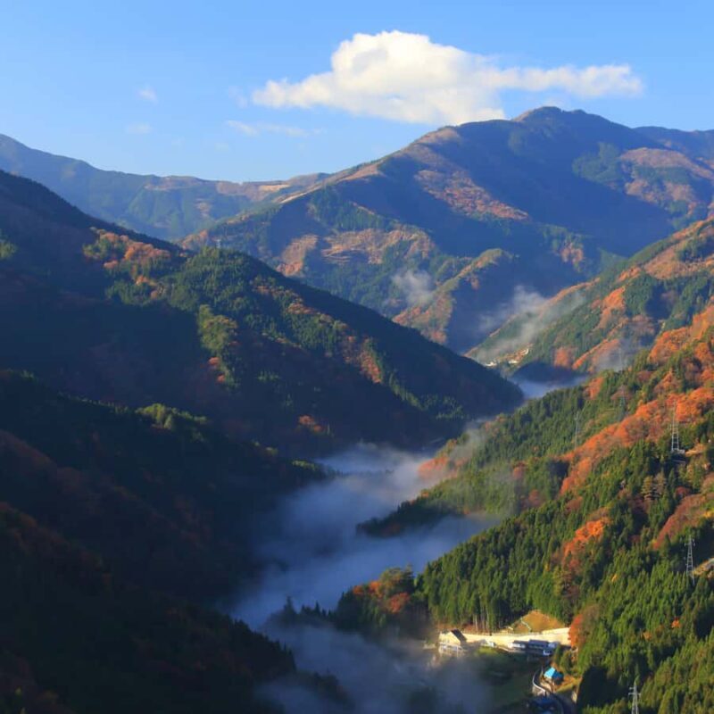 From Tokyo: nikko private tour with hotel pickup & drop-off - Returning to Tokyo