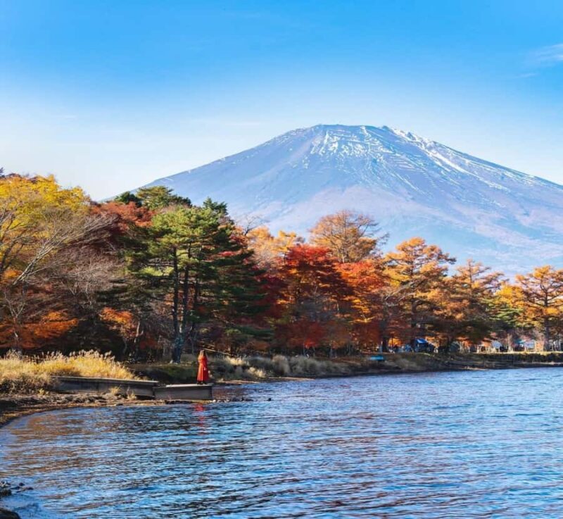 From Tokyo: Nikko Private Tour with Kegon Falls - Why Choose This Tour?