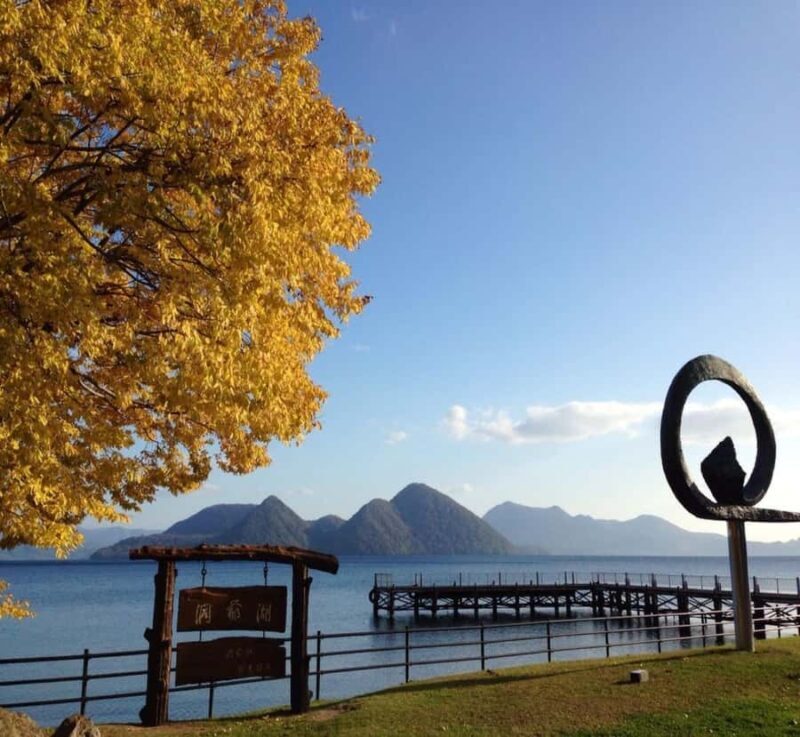 From Tokyo: Nikko Private Tour with Kegon Falls - The Practical Aspects