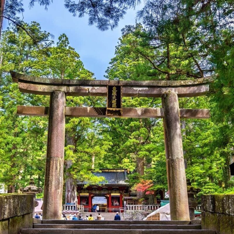 From Tokyo: Nikko Private Tour with Toshogu Shrine & Falls - Who Would Love This Tour?