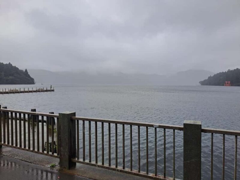 From Tokyo: Nikko Private Tour with UNESCO Sites - Who Is This Tour Best For?