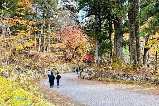 From Tokyo: Nikko Sightseeing Customized Private Tour - Frequently Asked Questions