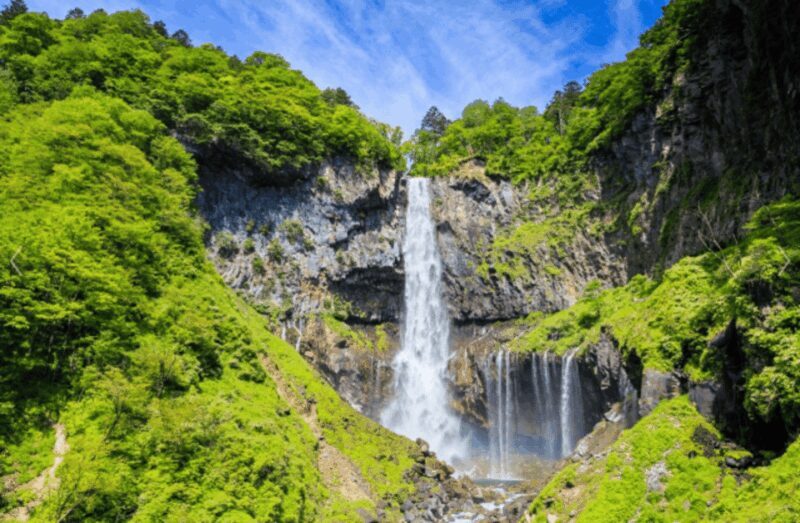 From Tokyo: Nikko Toshogu Day tour with Traditional Lunch - The Value Proposition