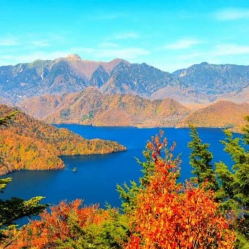 From Tokyo: Nikko Unesco World Heritage Private Guided Tour - FAQ