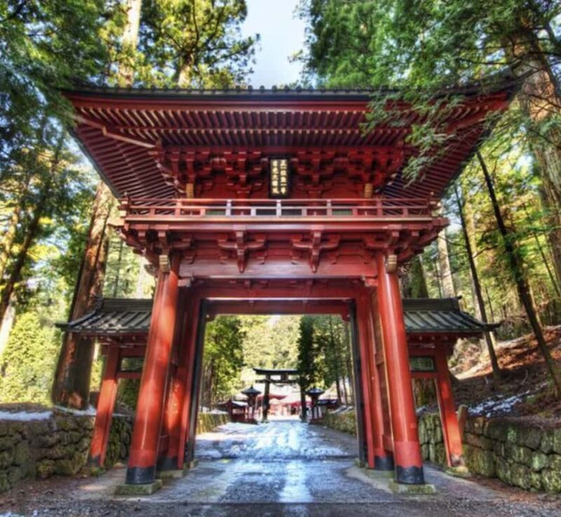 From Tokyo: Nikko World Heritage Customizable Private Tour - Who Should Consider This Tour?