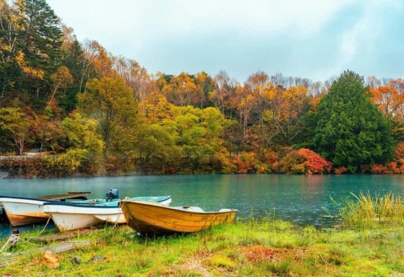 From Tokyo: Nikko World Heritage Full Day Private Tour - An In-Depth Look at the Nikko Private Tour Experience
