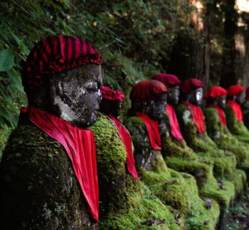 From Tokyo: Nikko World Heritage Private Tour with Guide - Introduction: Why Consider a Guided Tour to Nikko?