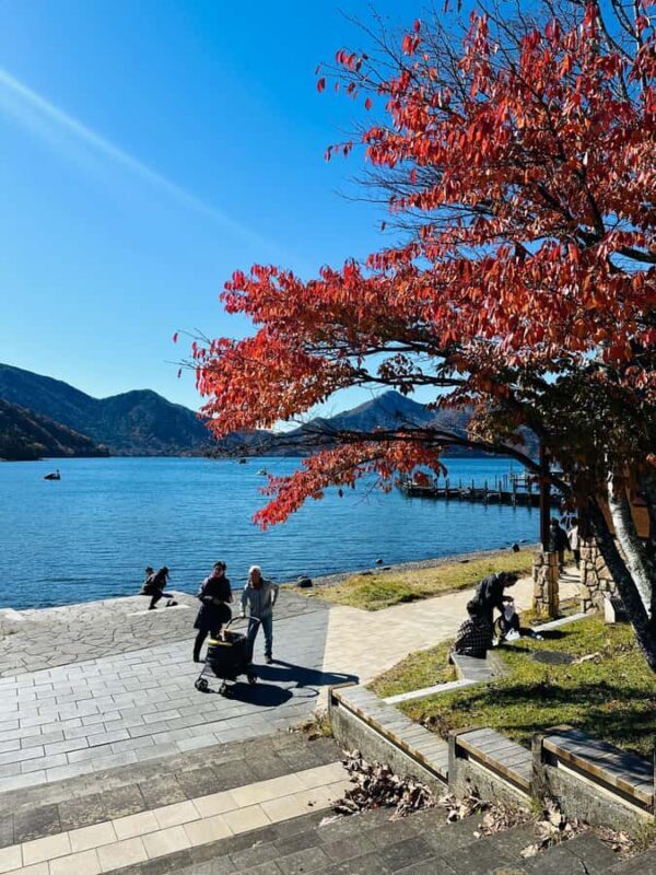 From Tokyo: Nikko World Heritage Private Tour with Guide - A Well-Organized, Value-Driven Tour