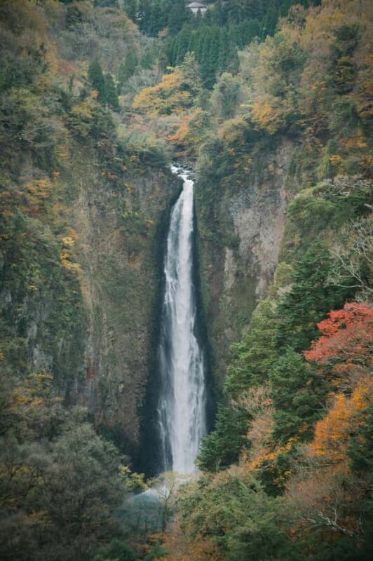 From Tokyo: Nikko World Heritage Sight Full Day Private Tour - Who Will Love This Tour?