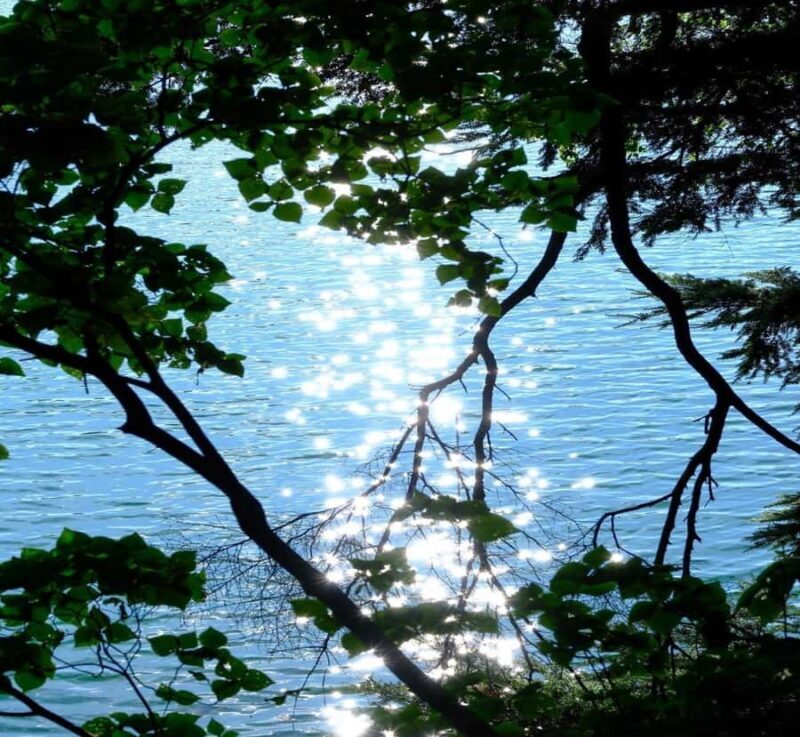 From Tokyo: Nikko World Heritage Site Private Day Trip - Who Will Love This Tour?