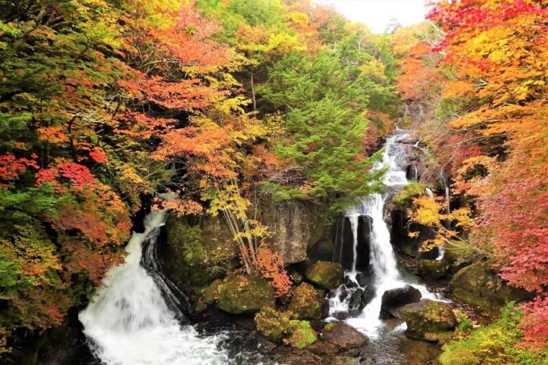 From Tokyo: Nikko World Heritage Site Private Full-Day Trip - Key Points