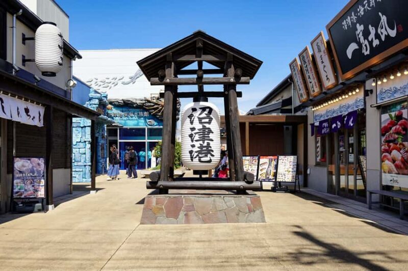From Tokyo: Numazu Port, Mishima Skywalk, Mt. Fuji View Tour - Key Points