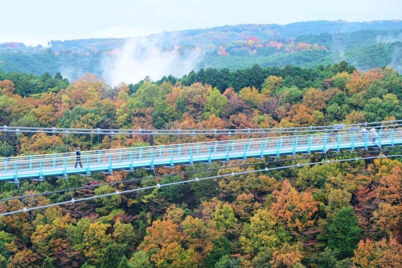 From Tokyo: Numazu Port, Mishima Skywalk, Mt. Fuji View Tour - An In-Depth Look at This Day Trip from Tokyo