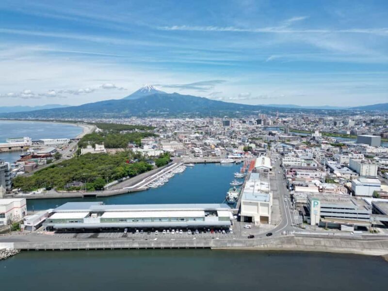 From Tokyo: Numazu Port, Mishima Skywalk, Mt. Fuji View Tour - The Sum Up