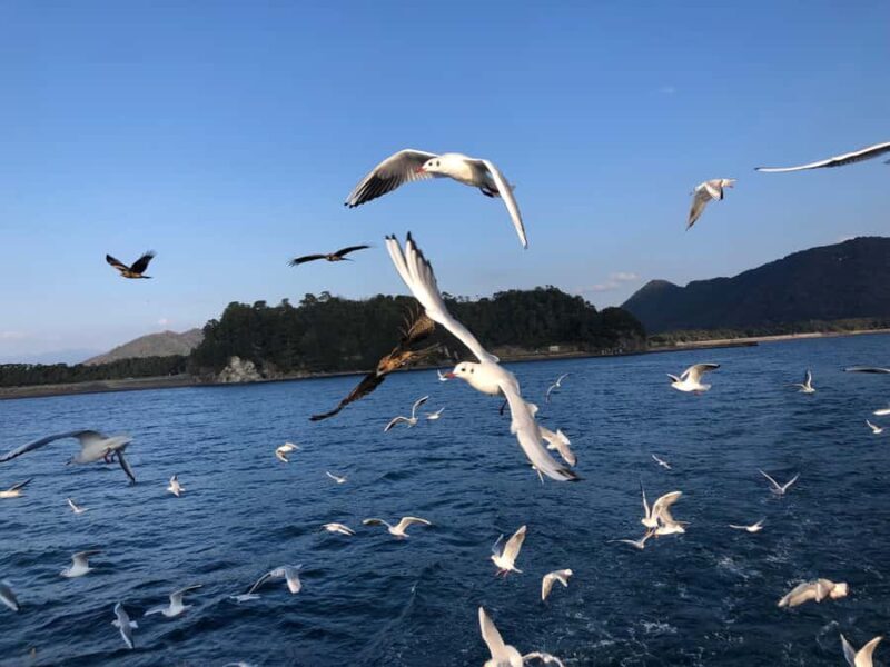 From Tokyo: Numazu Port, Mishima Skywalk, Mt. Fuji View Tour - FAQ