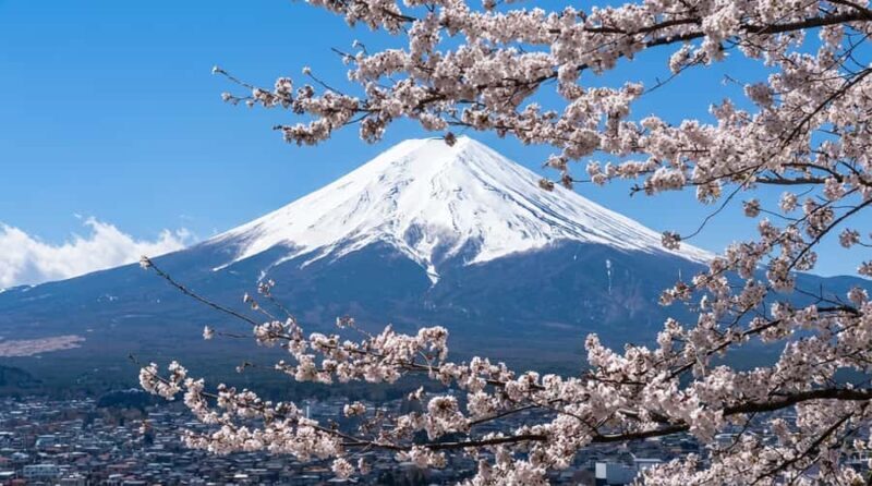 From Tokyo: Off-Peak Secret Spot Day Tour to Mount Fuji - Transportation, Group Size, and Value
