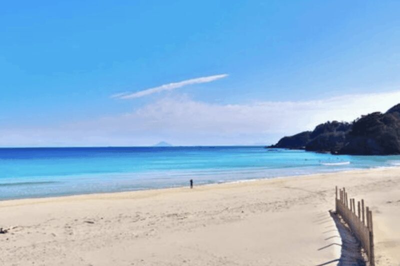 From Tokyo: Private Day Trip to Izu & Shimoda, Shizuoka - Key Points