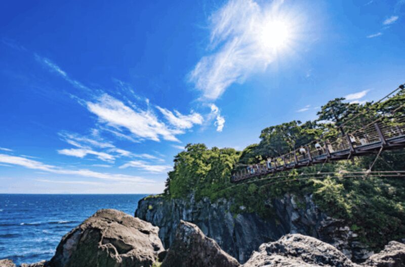 From Tokyo: Private Day Trip to Izu & Shimoda, Shizuoka - Discovering Izu & Shimoda from Tokyo: A Scenic and Historic Escape