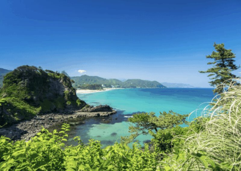From Tokyo: Private Day Trip to Izu & Shimoda, Shizuoka - Who Will Love This Tour?