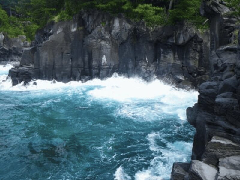 From Tokyo: Private Day Trip to Izu & Shimoda, Shizuoka - Final Thoughts