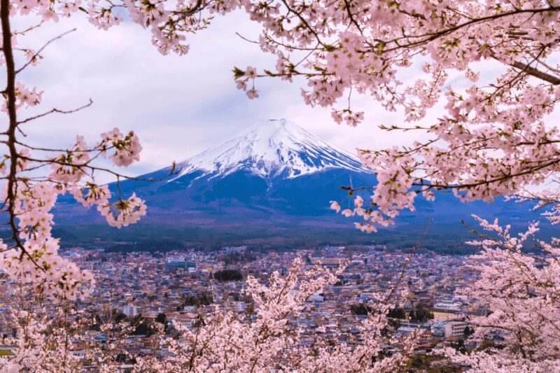 From Tokyo: Private Day Trip to Mount Fuji & Fuji Five lakes - Key Points