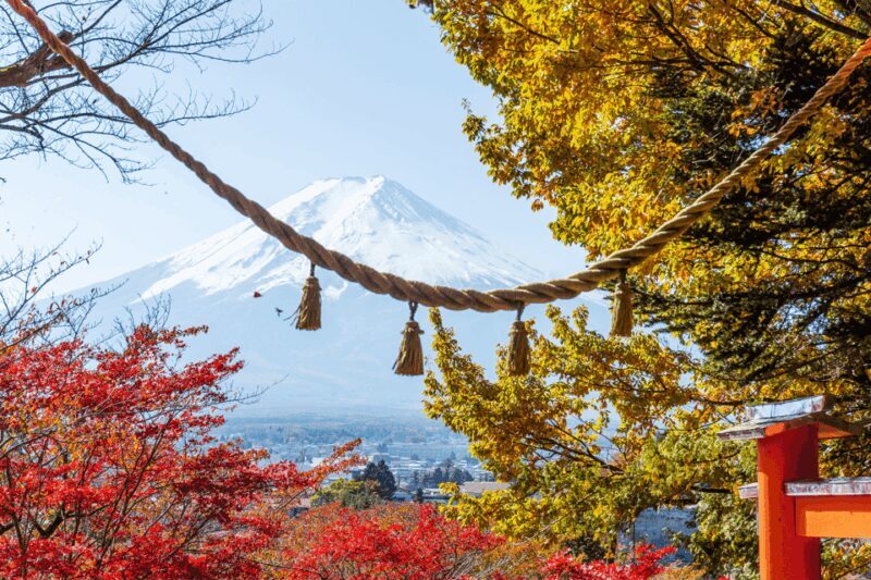 From Tokyo: Private Day Trip to Mount Fuji & Fuji Five lakes - The Experience in Detail: What You Can Expect