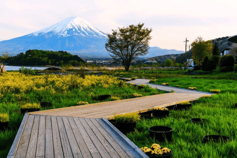 From Tokyo: Private Day Trip to Mount Fuji & Fuji Five lakes - Final Thoughts