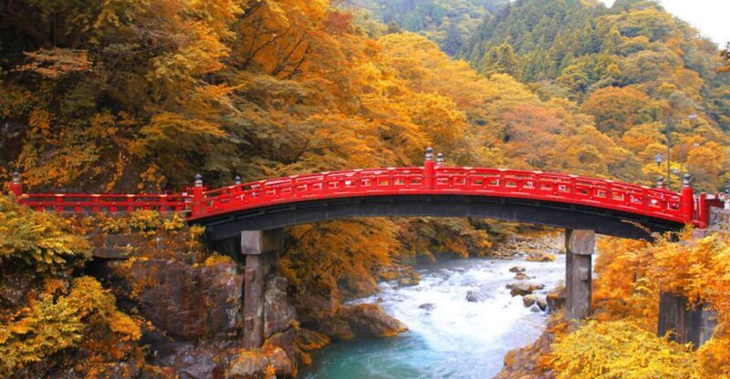 From Tokyo: Private Day Trip to Nikko and Lake Chuzenji - The Experience in Detail