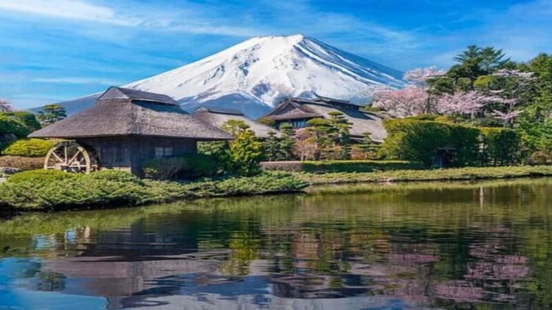 From Tokyo: Private Hidden Tokyo Tour with EnglishGuide - The Experience from Reviews