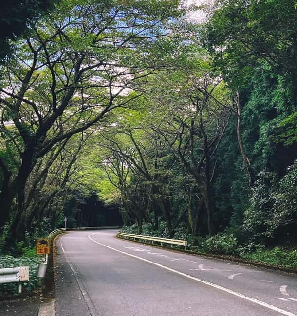 From Tokyo: Private Motorcycle Tour - Fuji, Hakone, Onsen - Culinary Experiences and Rest Stops