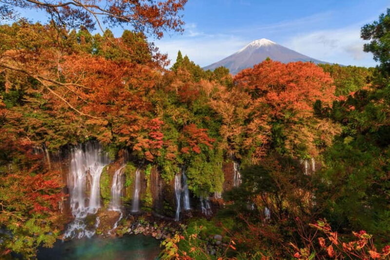 From Tokyo: Private Motorcycle Tour - Fuji, Hakone, Onsen - FAQ