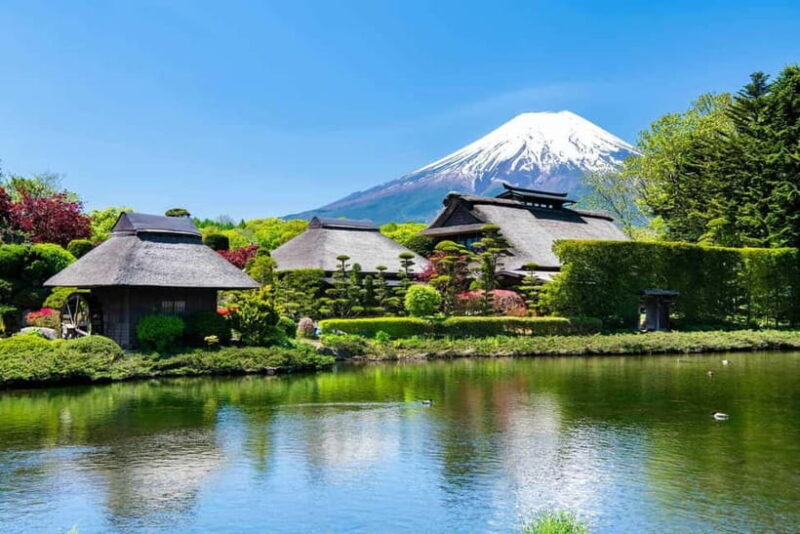 From Tokyo: Private Mount Fuji Day Trip by Car - A Closer Look at the Experience