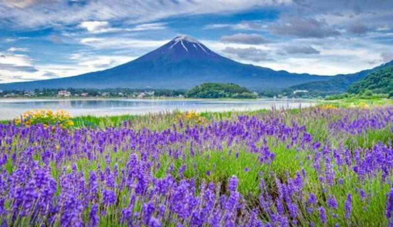 From Tokyo: Private Mount Fuji Day Trip by Car - FAQ