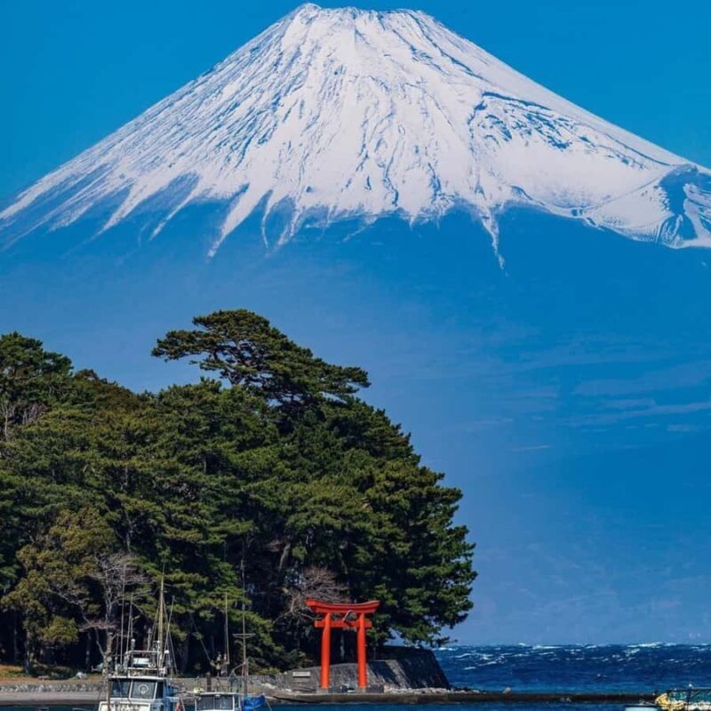 From Tokyo: Private Mount Fuji & Hakone Custom Day Tour - Key Points