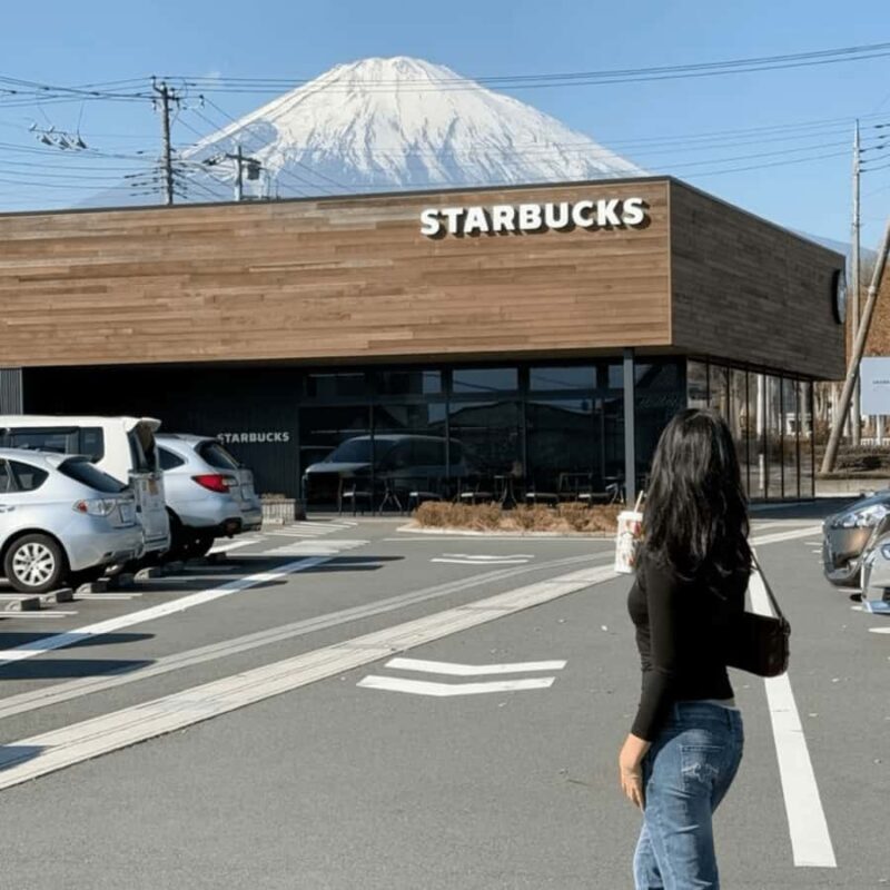 From Tokyo: Private Mount Fuji & Hakone Custom Day Tour - Who Should Book This Tour?