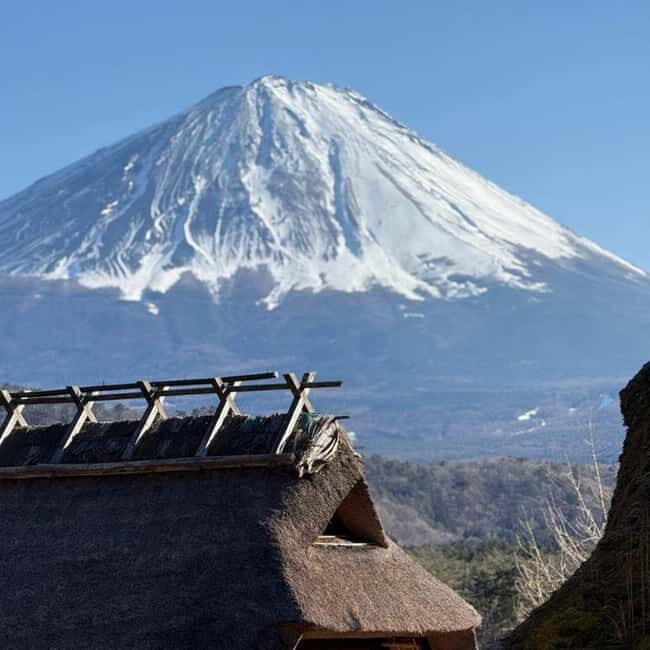 From Tokyo Private Mount Fuji & Hakone Day Trip With Pick Up - Traveling in Style and Comfort
