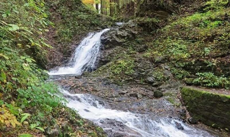 From Tokyo: Private Nikko Shrines and Nature Day Tour - Key Points