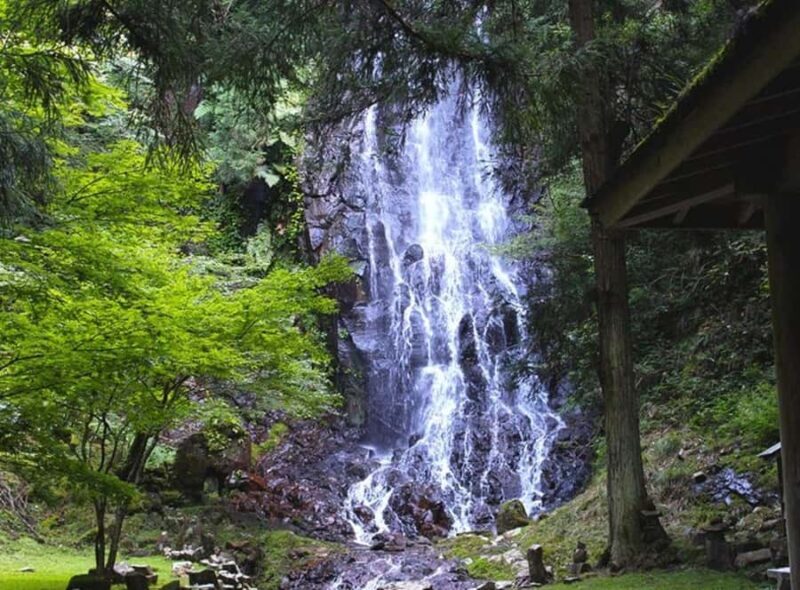 From Tokyo: Private Nikko Shrines and Nature Day Tour - The Practicalities: What You Need to Know