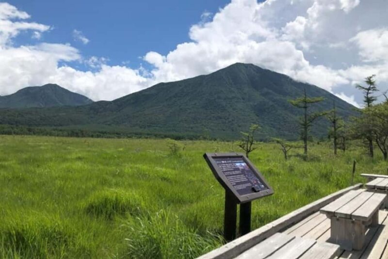 From Tokyo: Private Nikko Shrines and Nature Day Tour - Value and Cost Considerations