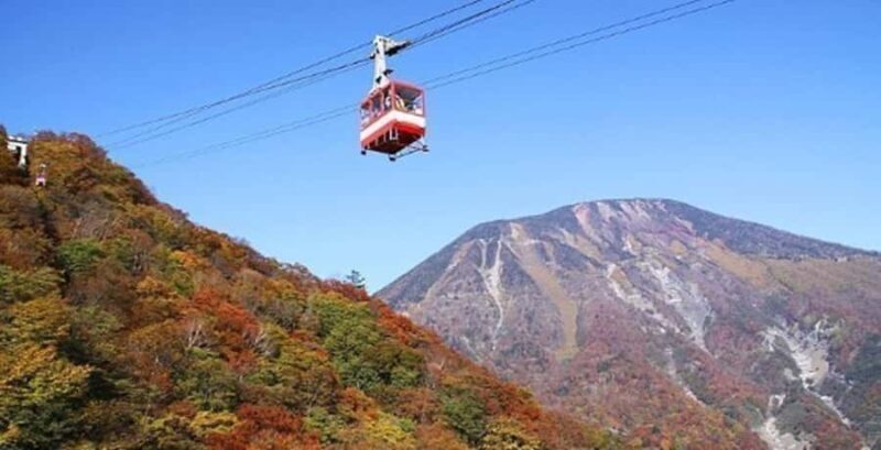 From Tokyo: Private Nikko Shrines and Nature Day Tour - In The Sum Up