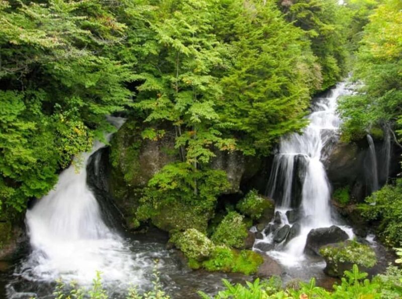 From Tokyo: Private Nikko Shrines and Nature Day Tour - FAQ