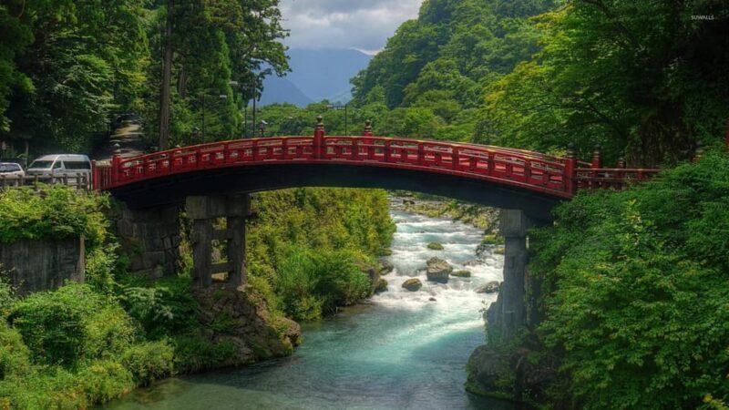 From Tokyo: Private Nikko World Heritage Sights Day Trip - Who Is This Tour Best For?