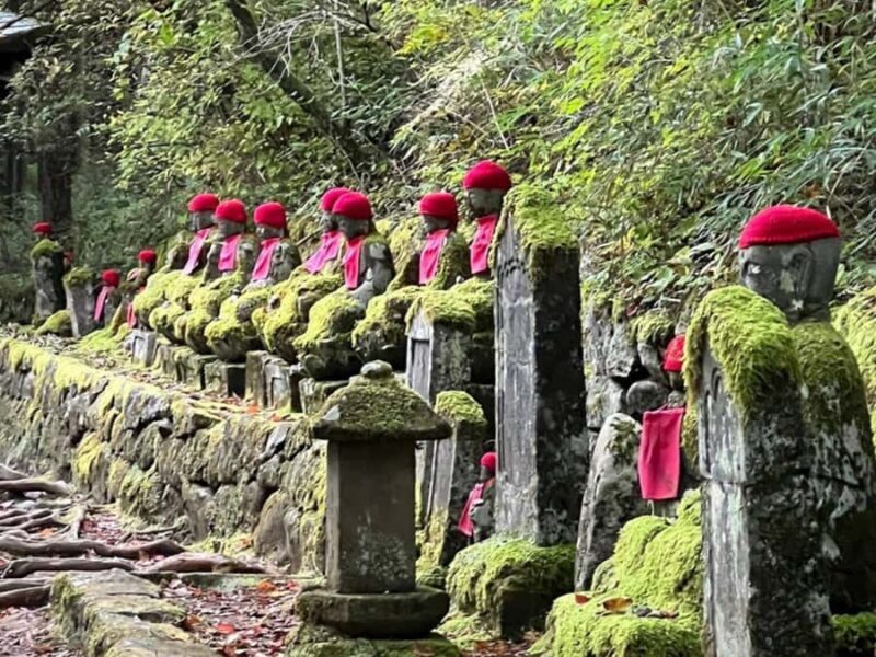 From Tokyo: Private Nikko World Heritage Sights One Day Trip - An Honest Look at the Tour Experience