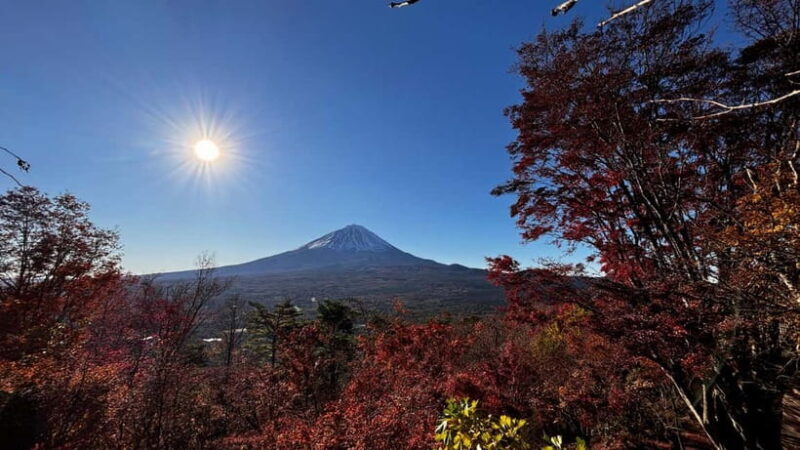 From Tokyo: Private Sunrise & Scenic Tour to Mt Fuji - The Practicalities and Considerations