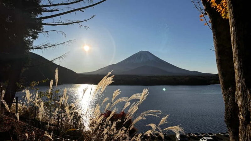From Tokyo: Private Sunrise & Scenic Tour to Mt Fuji - Who Will Love This Tour?