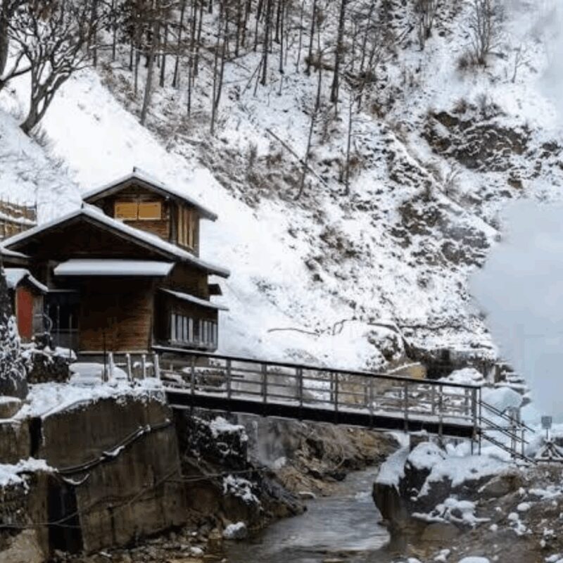 From Tokyo: Private Tour Snow Monkey Park & Zenko-ji Temple - Is This Tour for You?