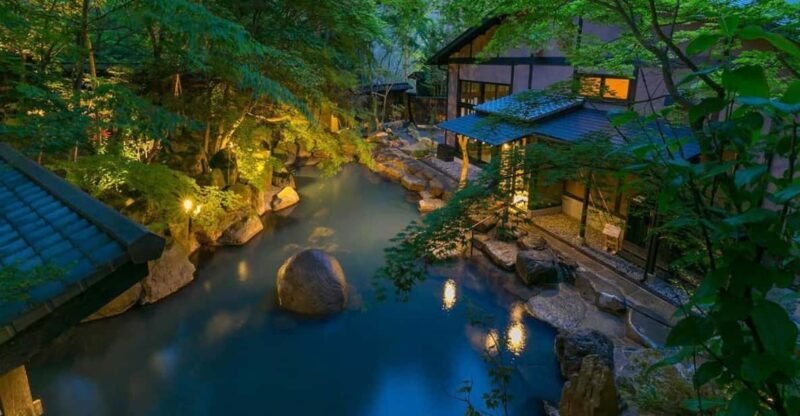 From Tokyo: Private Tour to Fuji/Hakone - Onsen, Art, Nature - An Honest Look at the Tour Experience