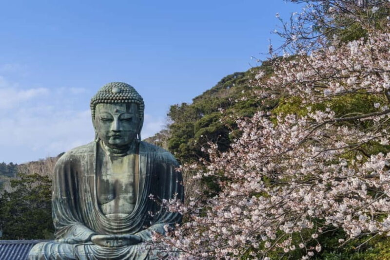 From Tokyo: Private Tour to Kamakura - Temples, Sea, Onsen - Key Points