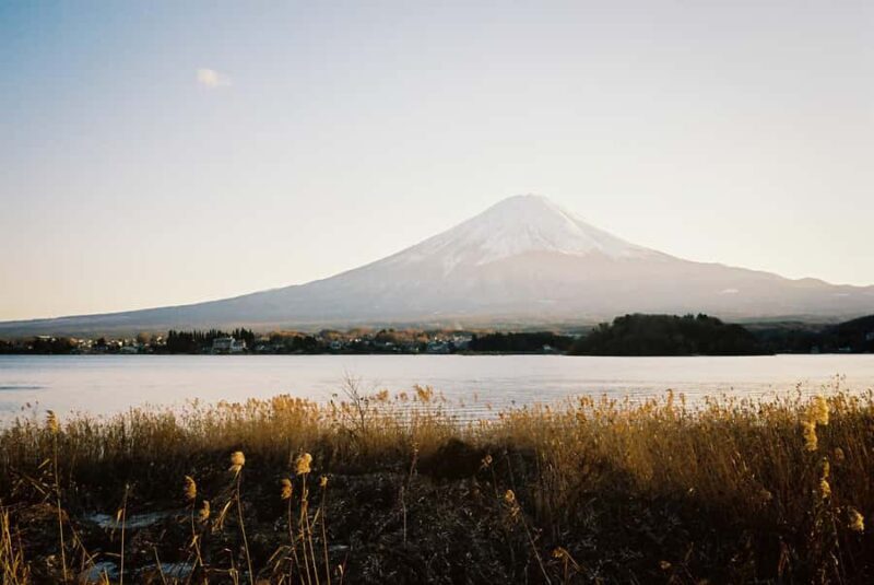 From Tokyo: Private Tour to Mt Fujis Secret Side & Onsen - Who Should Consider This Tour?